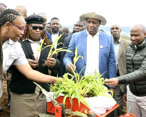 KZNONLINE: Your Government - at the click of a button. - KwaZulu-Natal ...